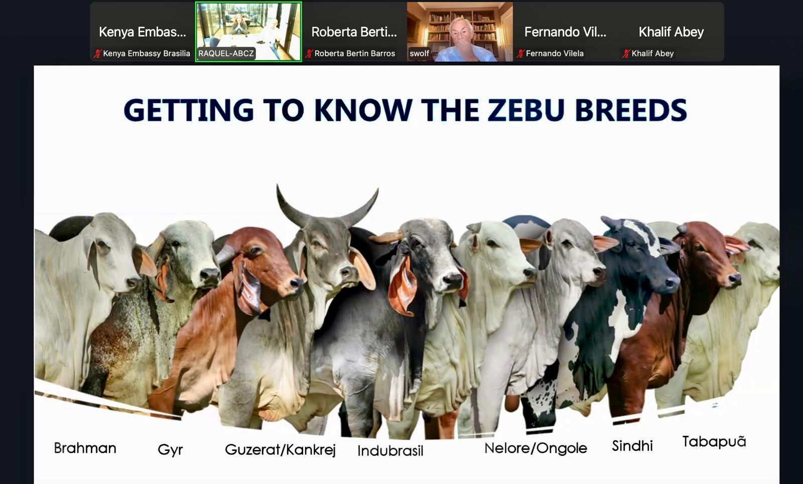 Technical Cooperation Meeting Between the Brazilian Zebu Breeders ...